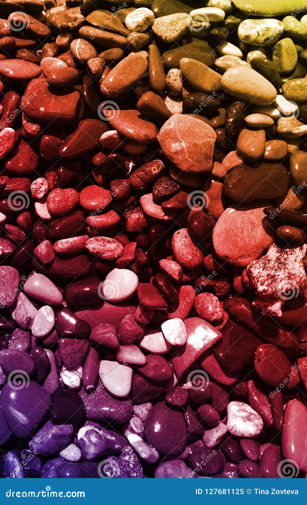 Round colored sea pebbles stock image. Image of scenic - 127681125
