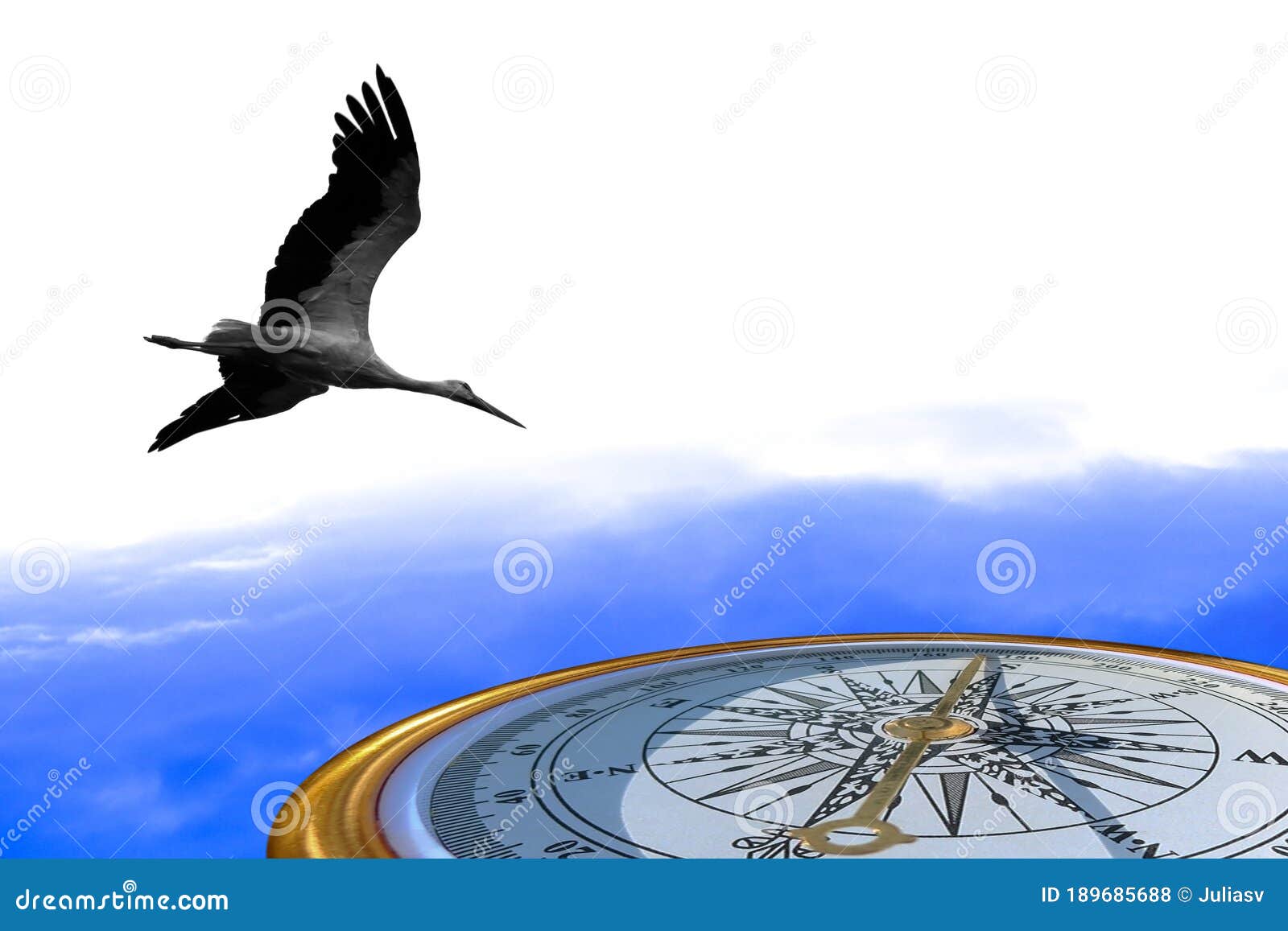 Round Compass and Bird on White Background Stock Photo - Image of ...