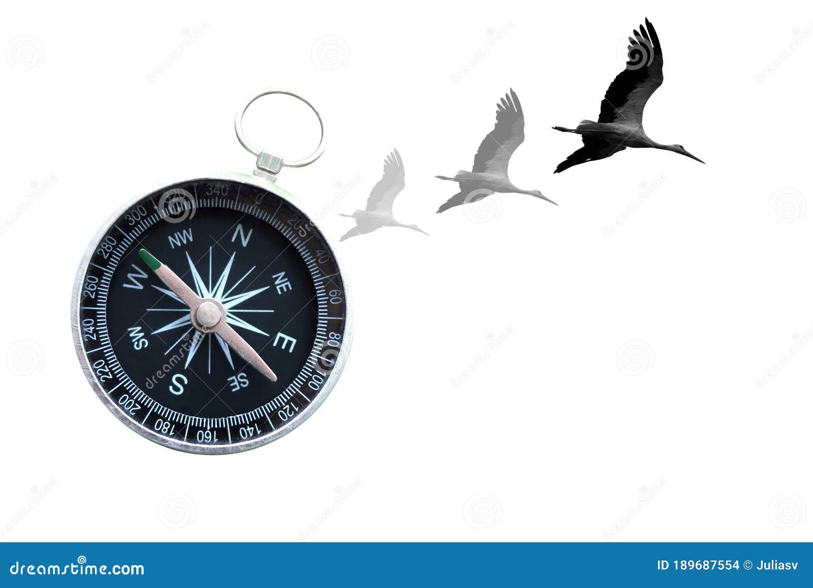Round Compass and Birds on White Background Stock Photo - Image of bird ...