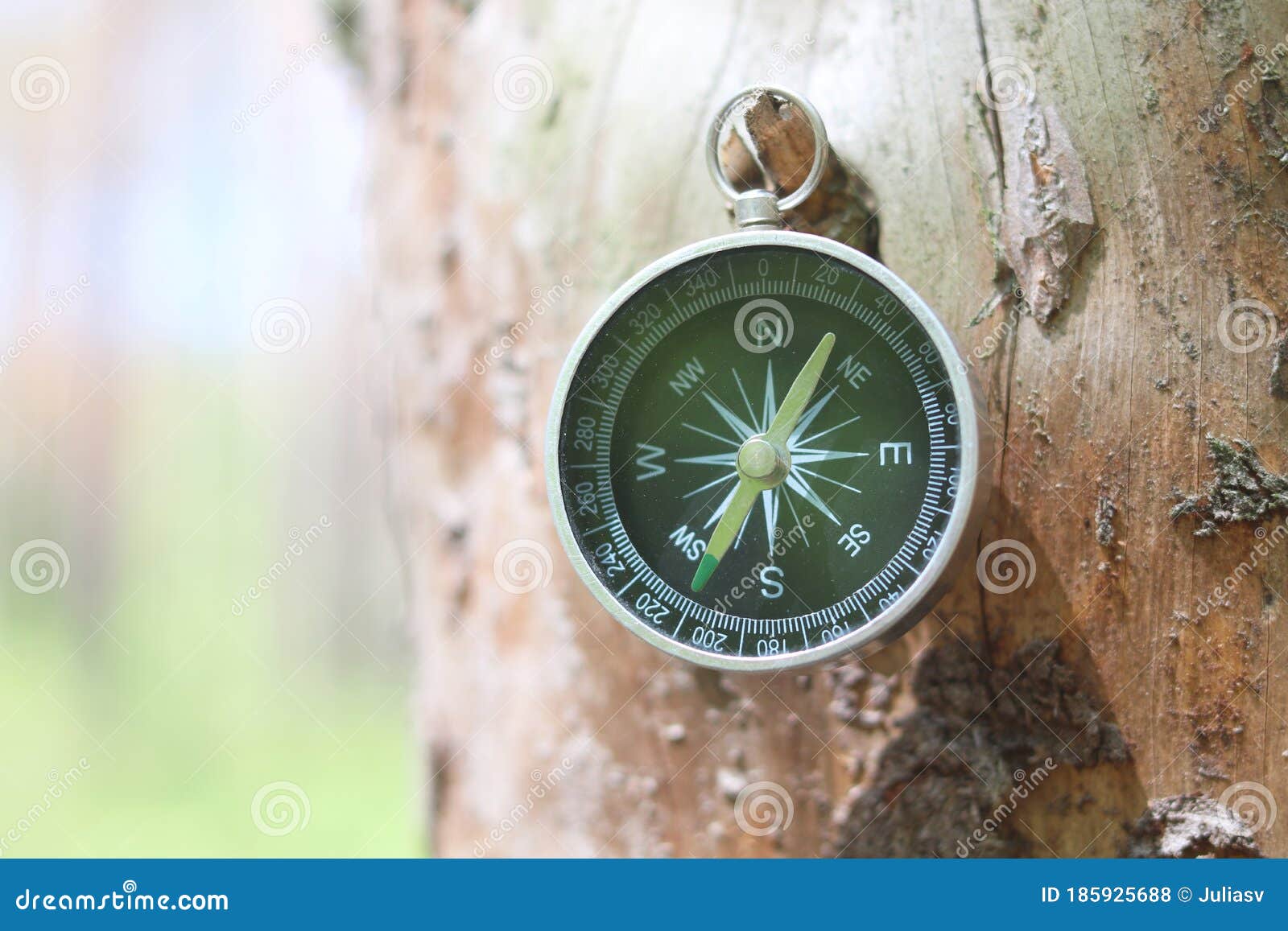 Round Compass on Natural Background Stock Photo - Image of color ...