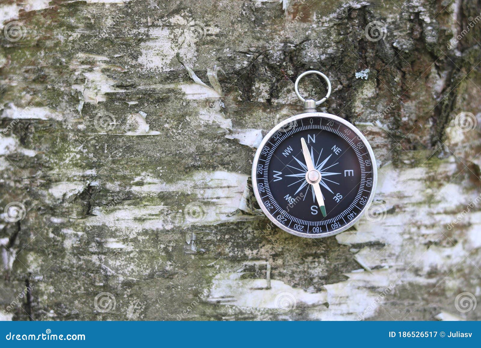 Round Compass on Natural Background Stock Image - Image of forest ...