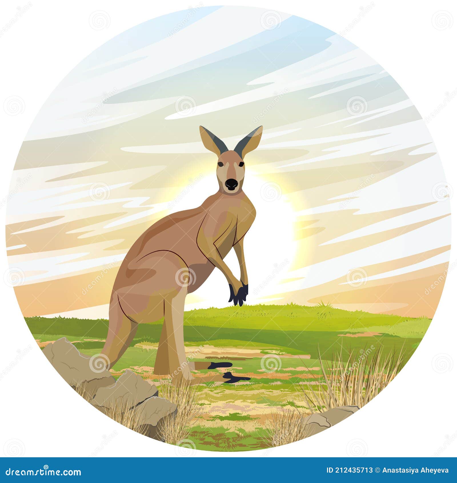 Round Composition. Big Red Kangaroo at Sunset Stock Vector ...