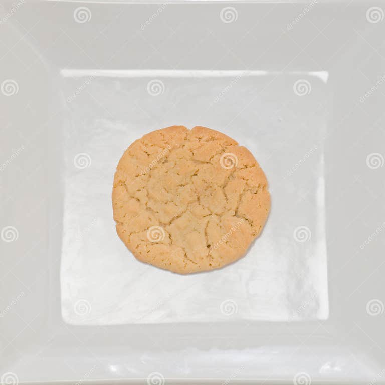 Round Cookie on Square Plate Stock Photo - Image of gourmet, baked: 2956436