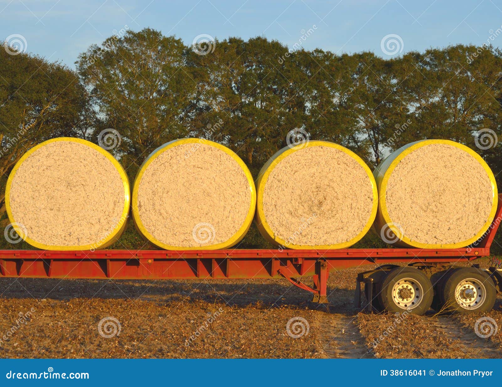 Round Cotton Modules Loaded on Flatbed Stock Image - Image of botany ...