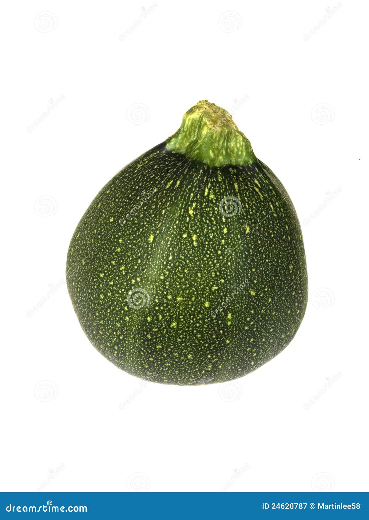 Round Courgette stock image. Image of food, isolated - 24620787