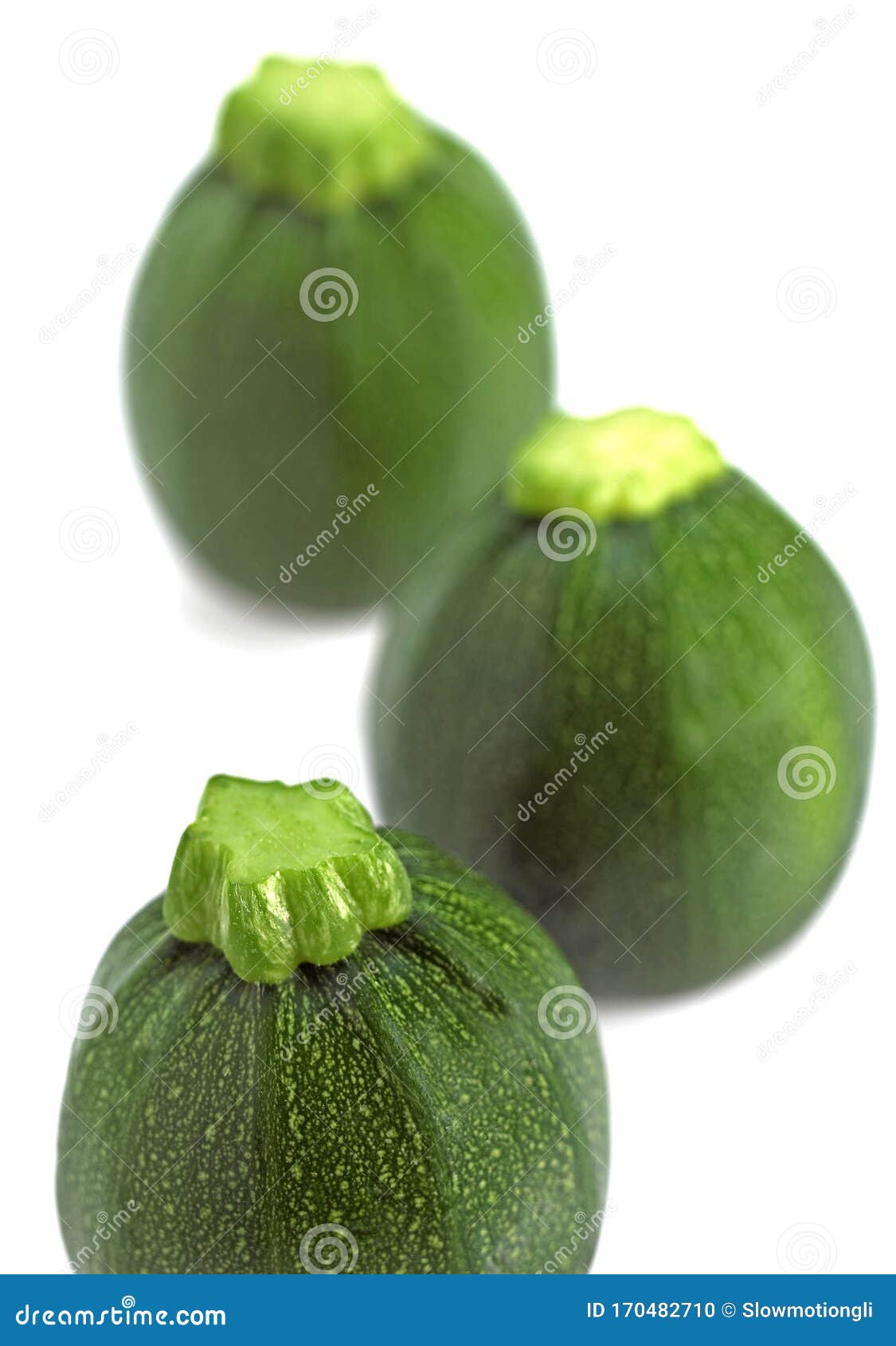 COURGETTE stock photo. Image of gourd, studio, life - 170482710