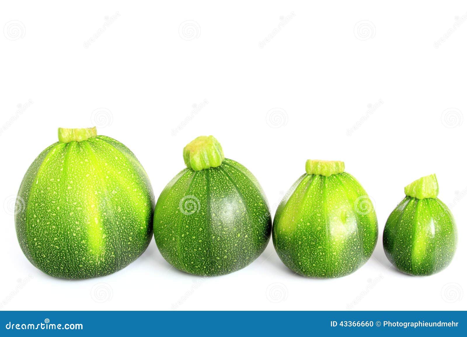 Round courgettes stock photo. Image of horizontal, fruit - 43366660
