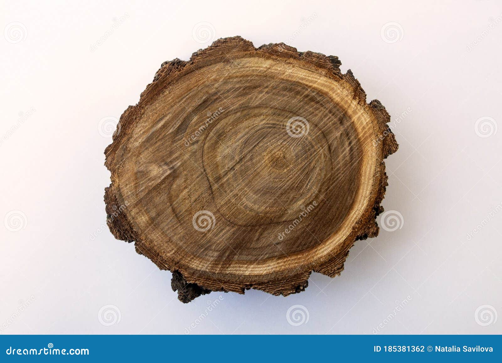 Round Cut of Tree with Growth Rings and Texture on a White Background ...