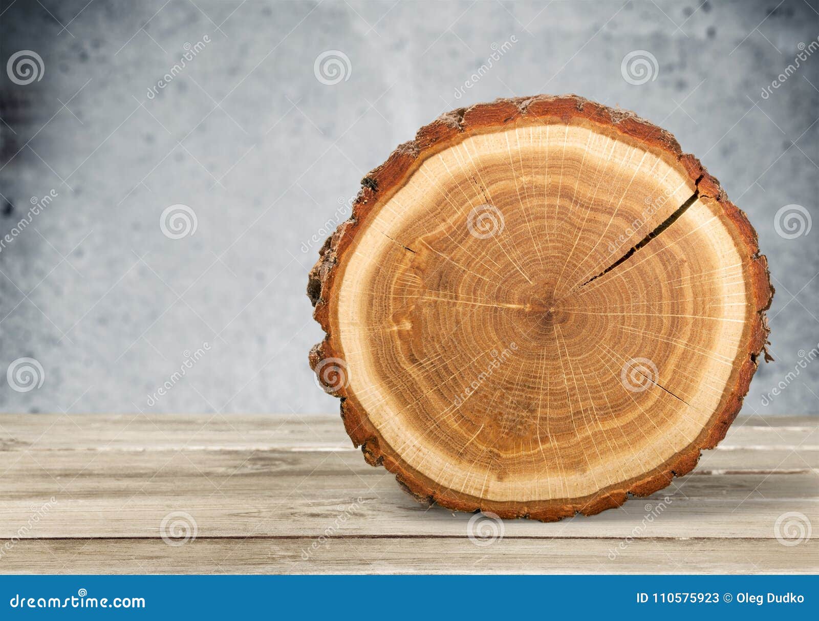 Round Cut of Tree on Nature Background Stock Image - Image of abstract ...
