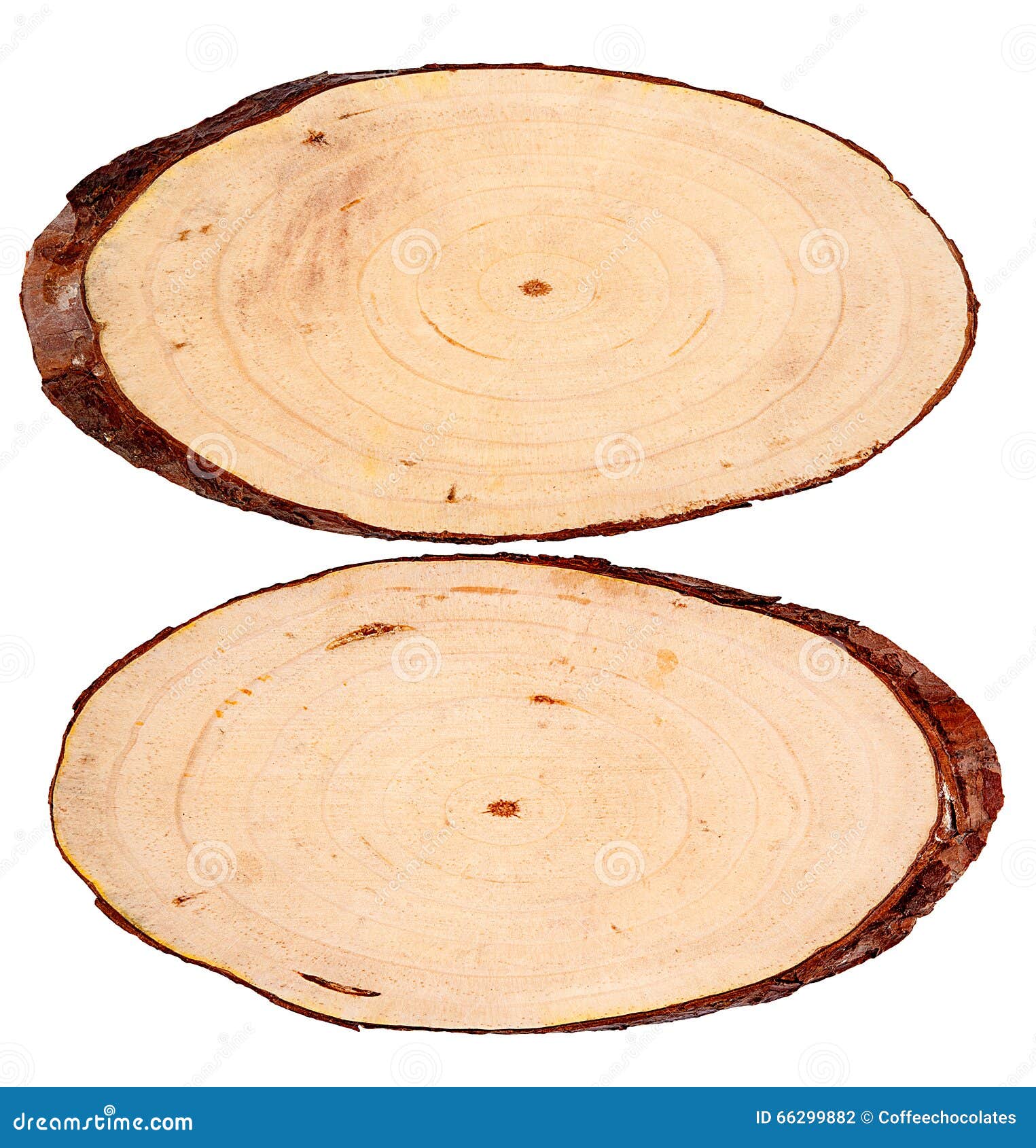 Round cut wood background stock photo. Image of detail - 66299882