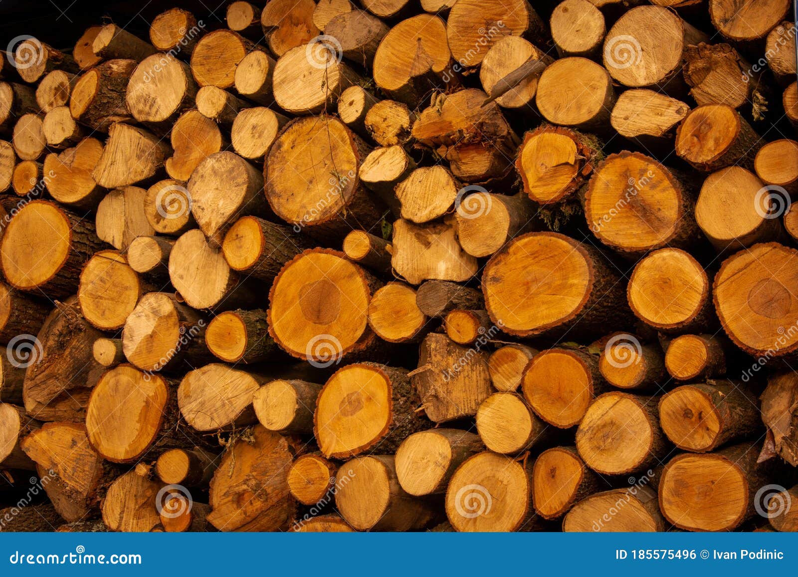 Round cut wood in a truck. stock photo. Image of branch - 185575496