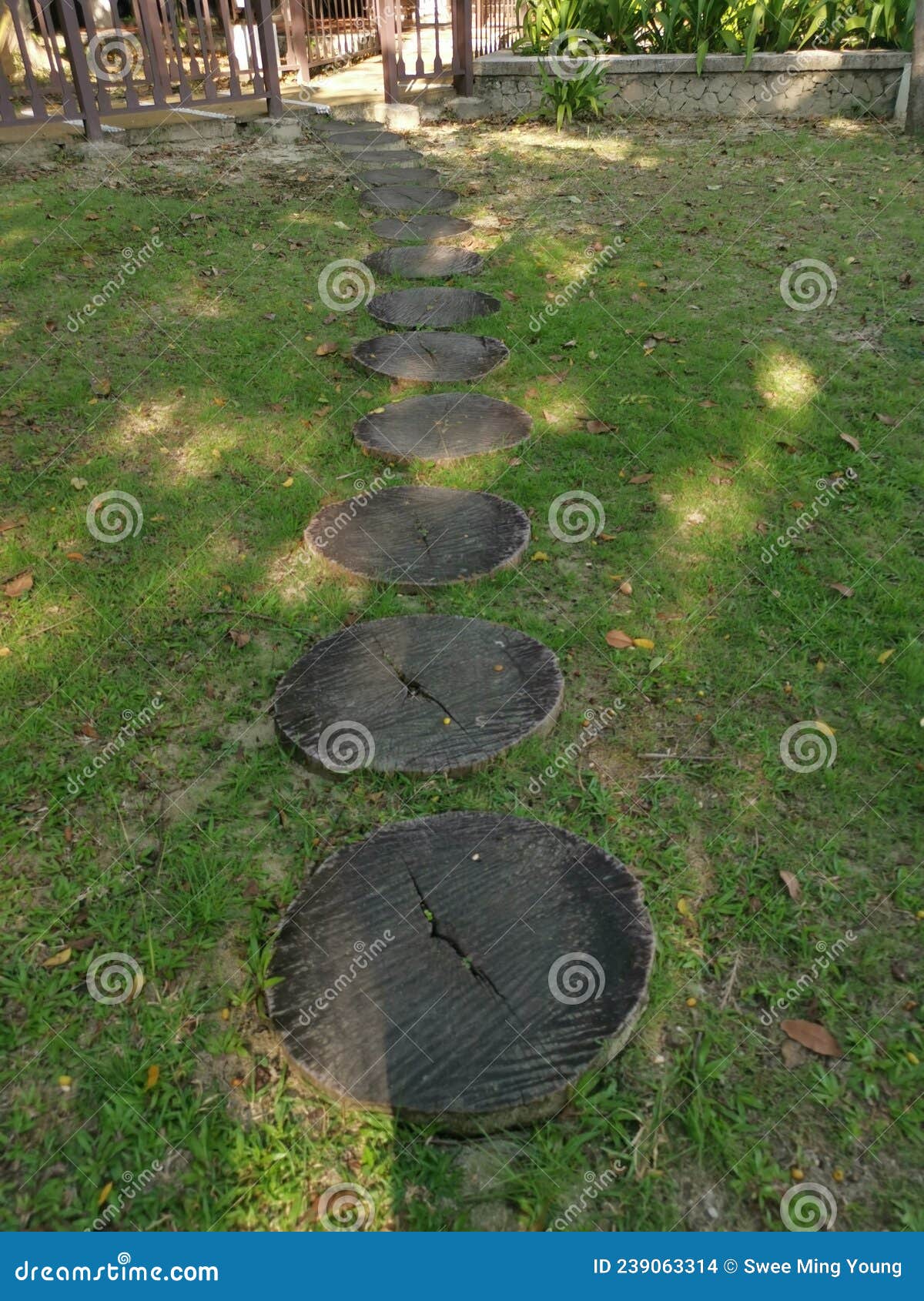Round Cutout Wooden Walk Pathway in on the Ground Stock Photo - Image ...