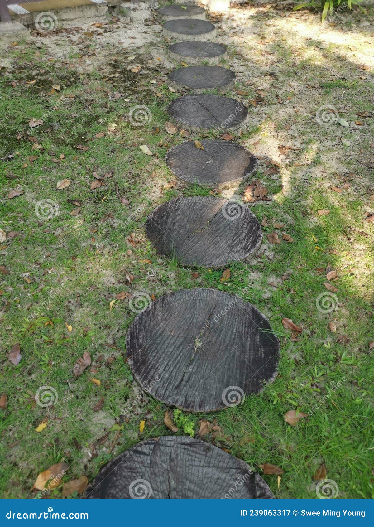 Round Cutout Wooden Walk Pathway in on the Ground Stock Image - Image ...