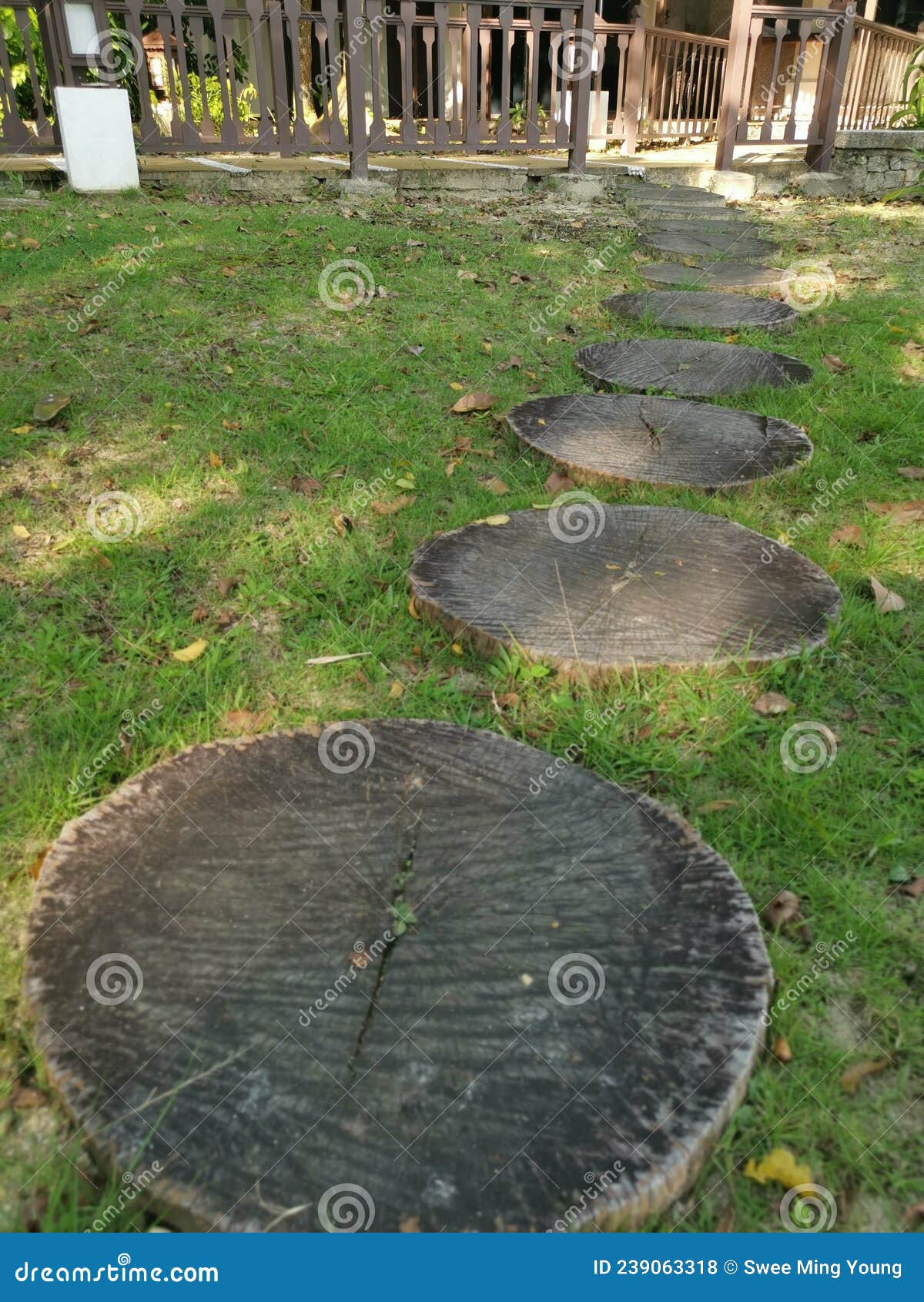 Round Cutout Wooden Walk Pathway in on the Ground Stock Photo - Image ...