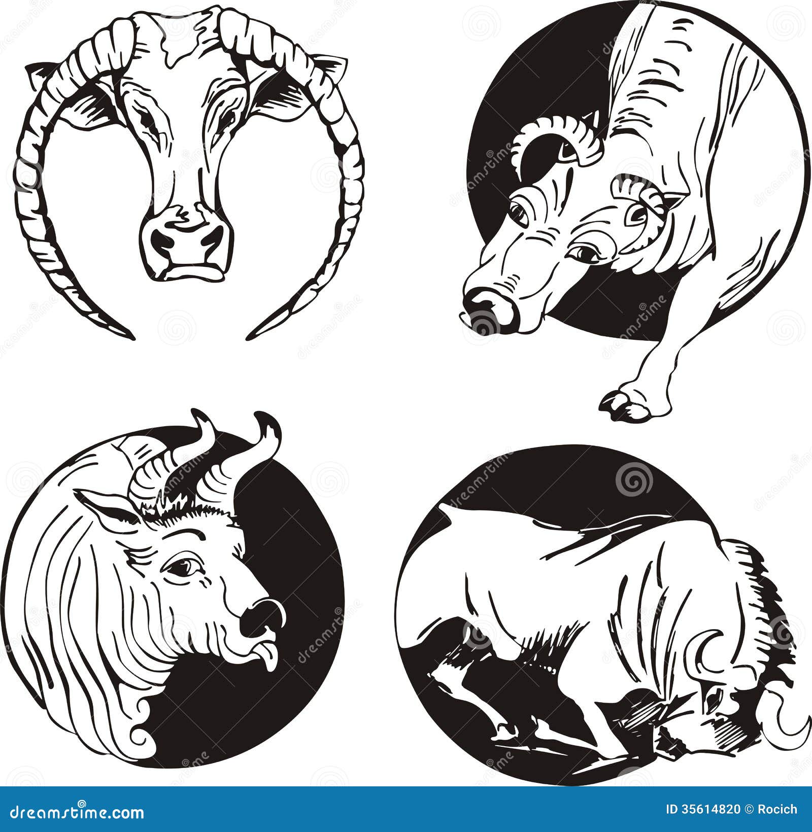 Round designs with bulls stock vector. Illustration of animal - 35614820
