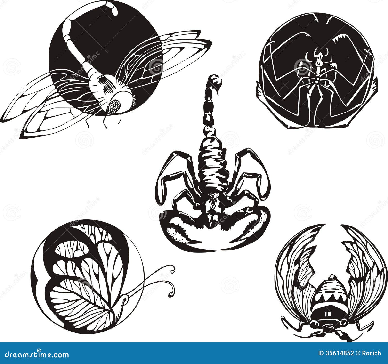 Round designs with insects stock vector. Illustration of vector - 35614852