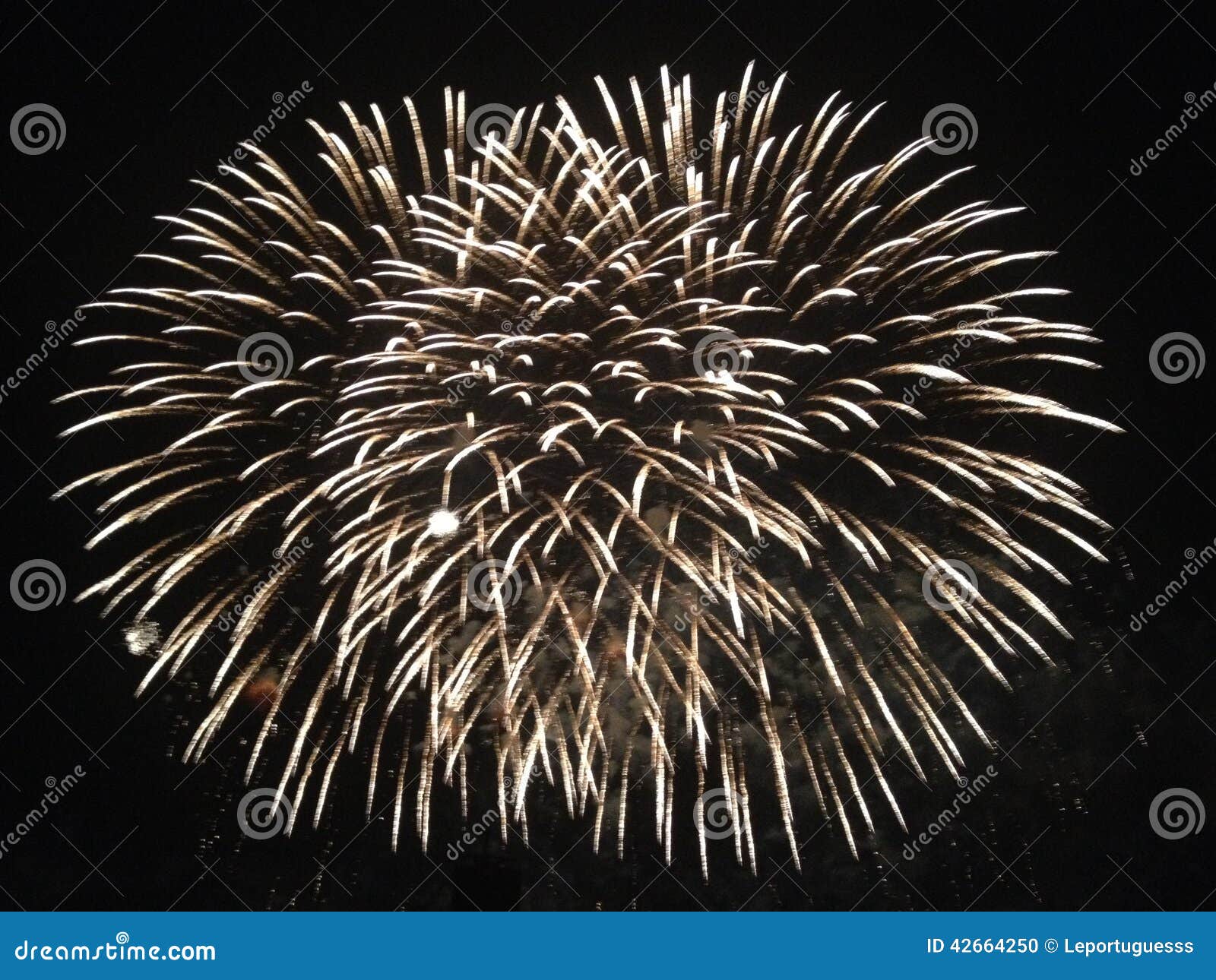 Round firework stock photo. Image of dark, light, sound - 42664250