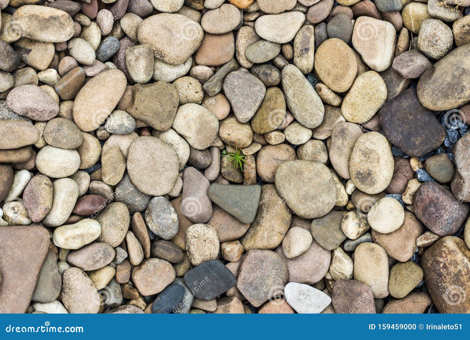 Round Flat Pebbles Top View Background Stock Photo - Image of beauty ...