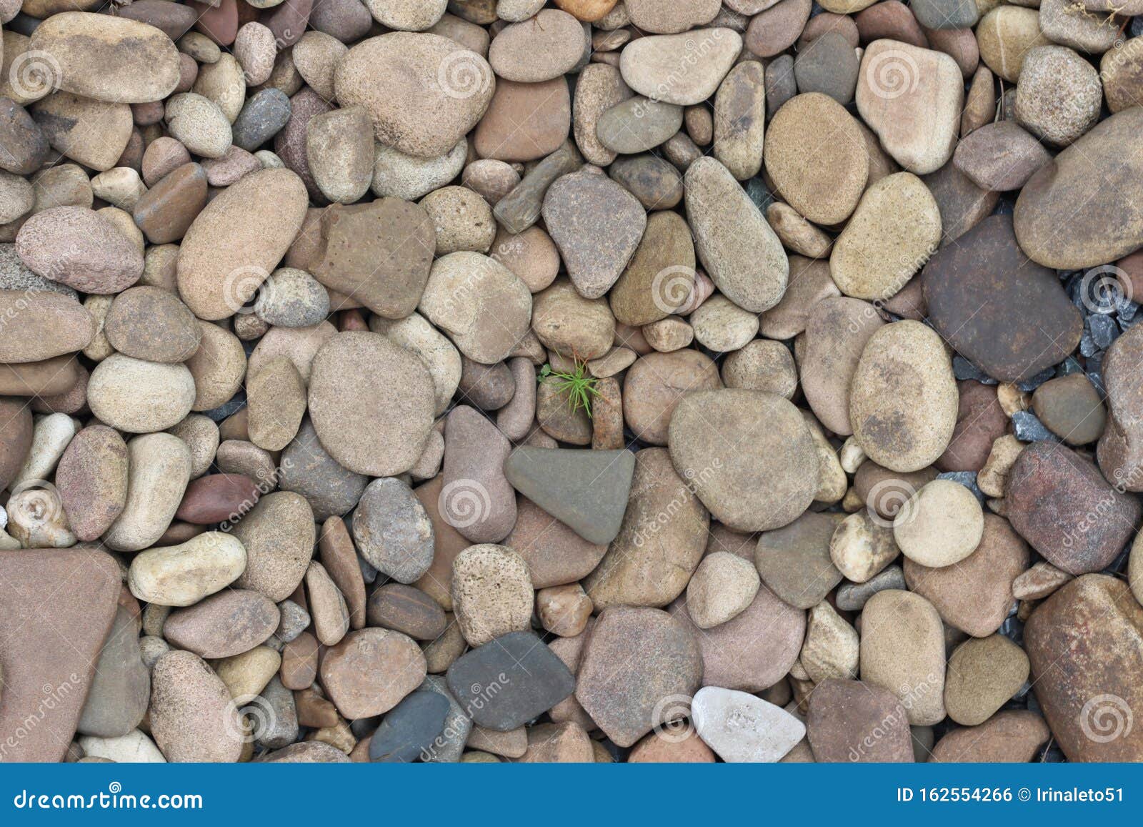 Round Flat Pebbles Top View Background Stock Photo - Image of close ...