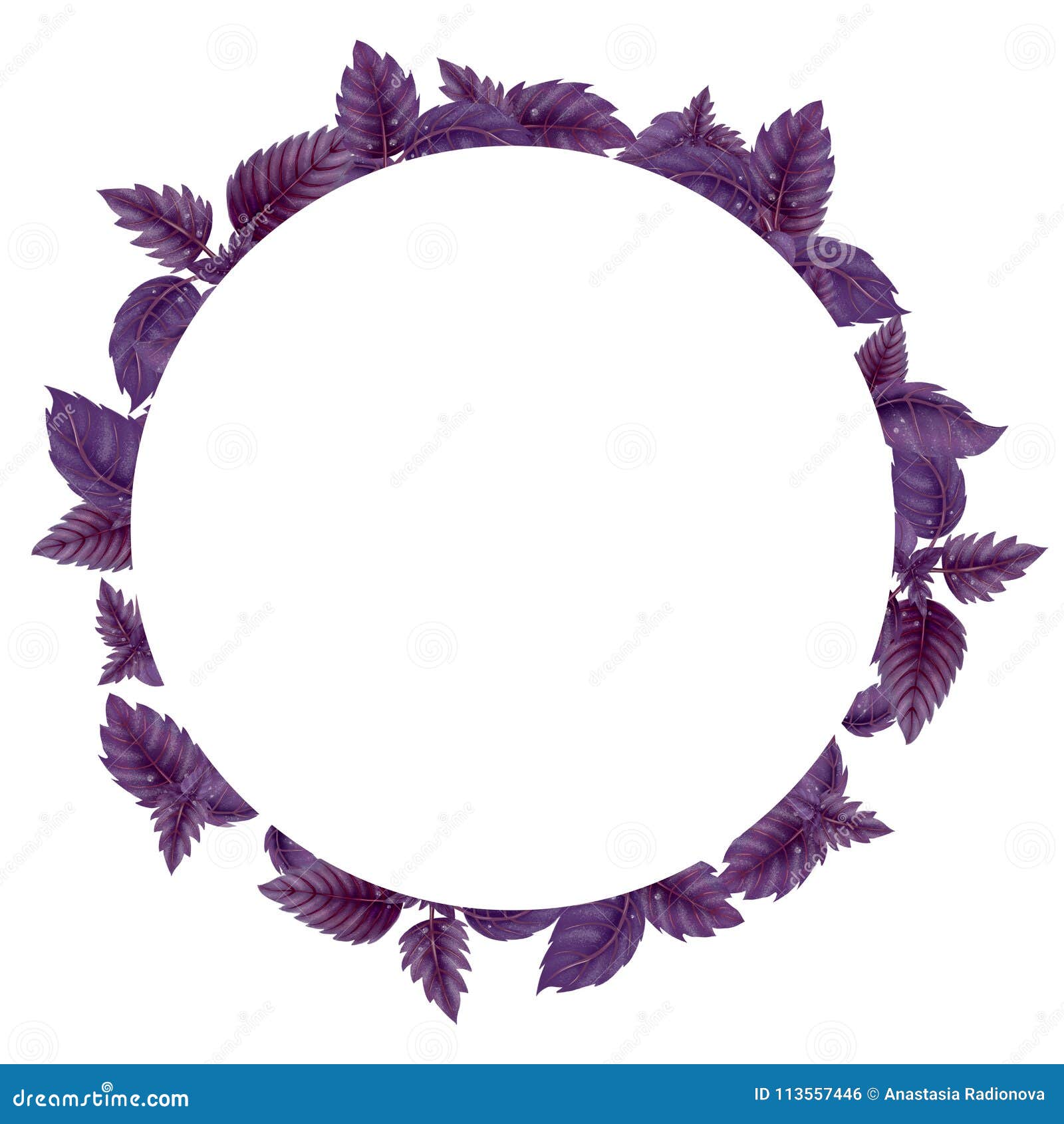 Round Frame of Basil Leaves and Branches Stock Illustration ...