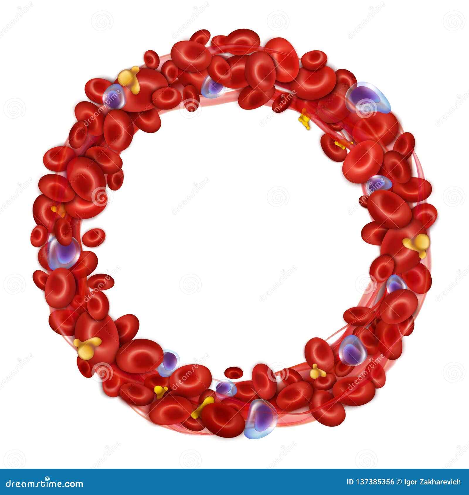 Round Frame of Blood Cells. Vector Stock Illustration - Illustration of ...