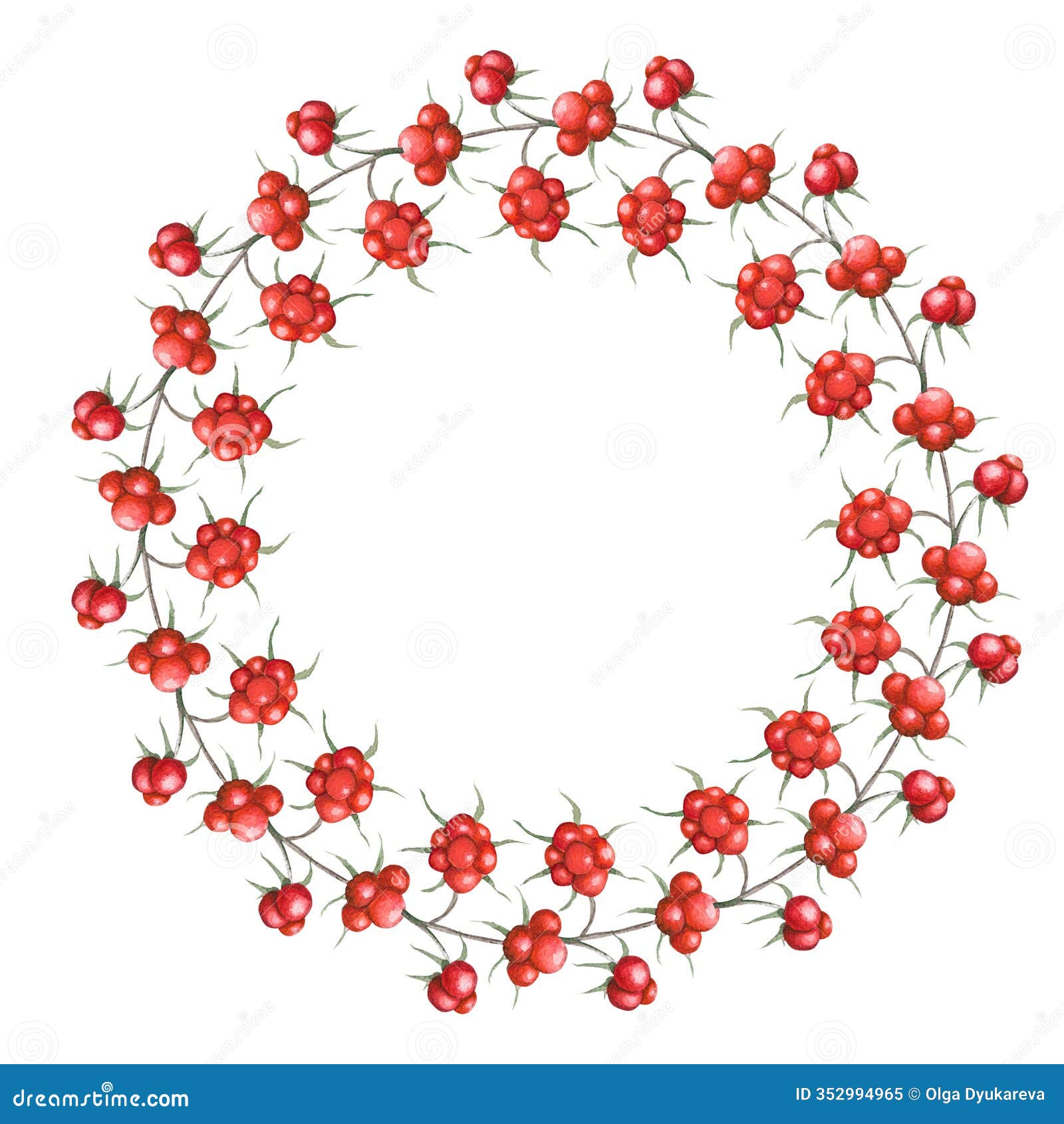 Round Frame of Bramble Berries,watercolor Illustration. Hand-painted ...