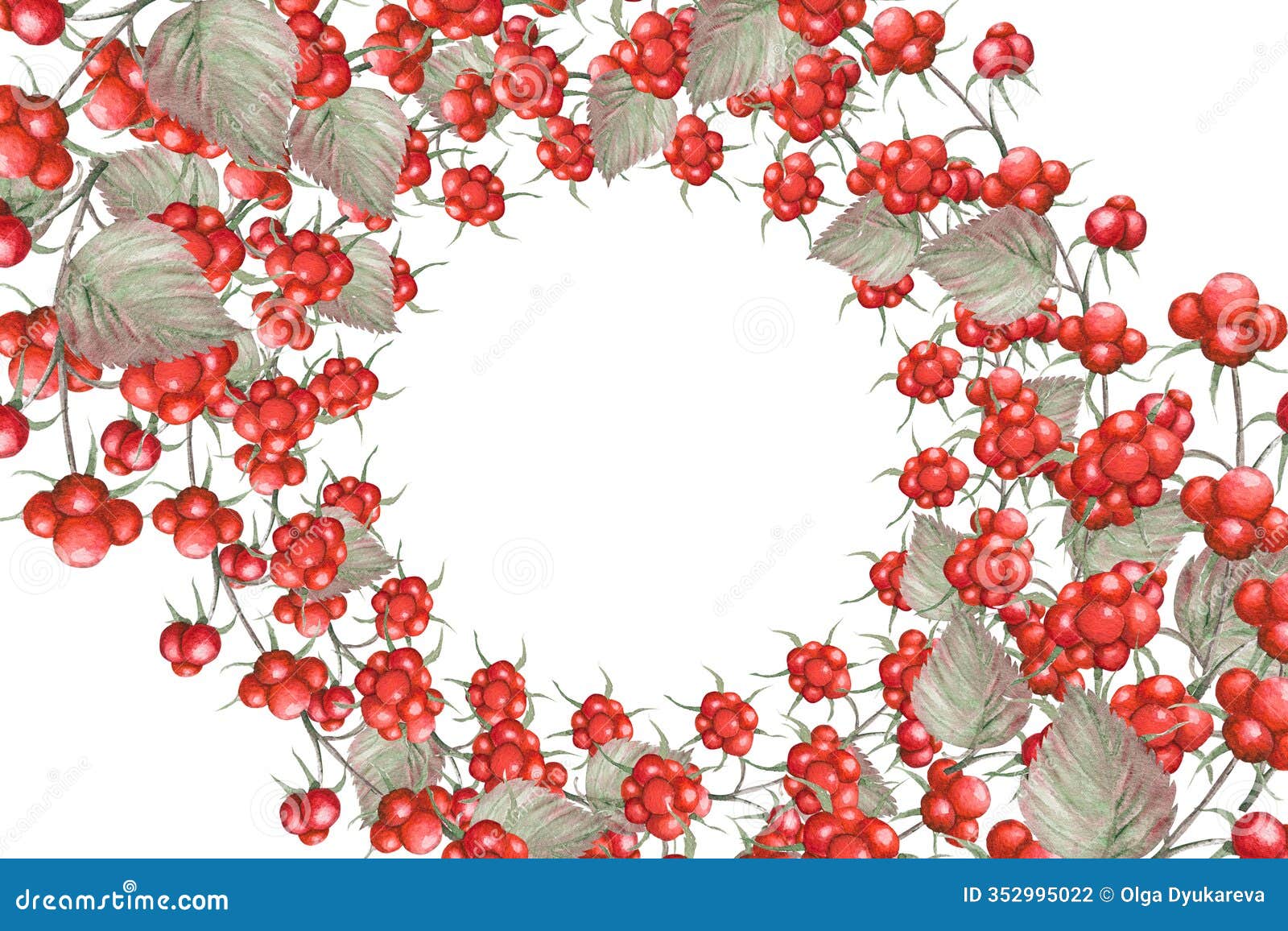 Round Frame of Bramble Berries,watercolor Illustration. Hand-painted ...