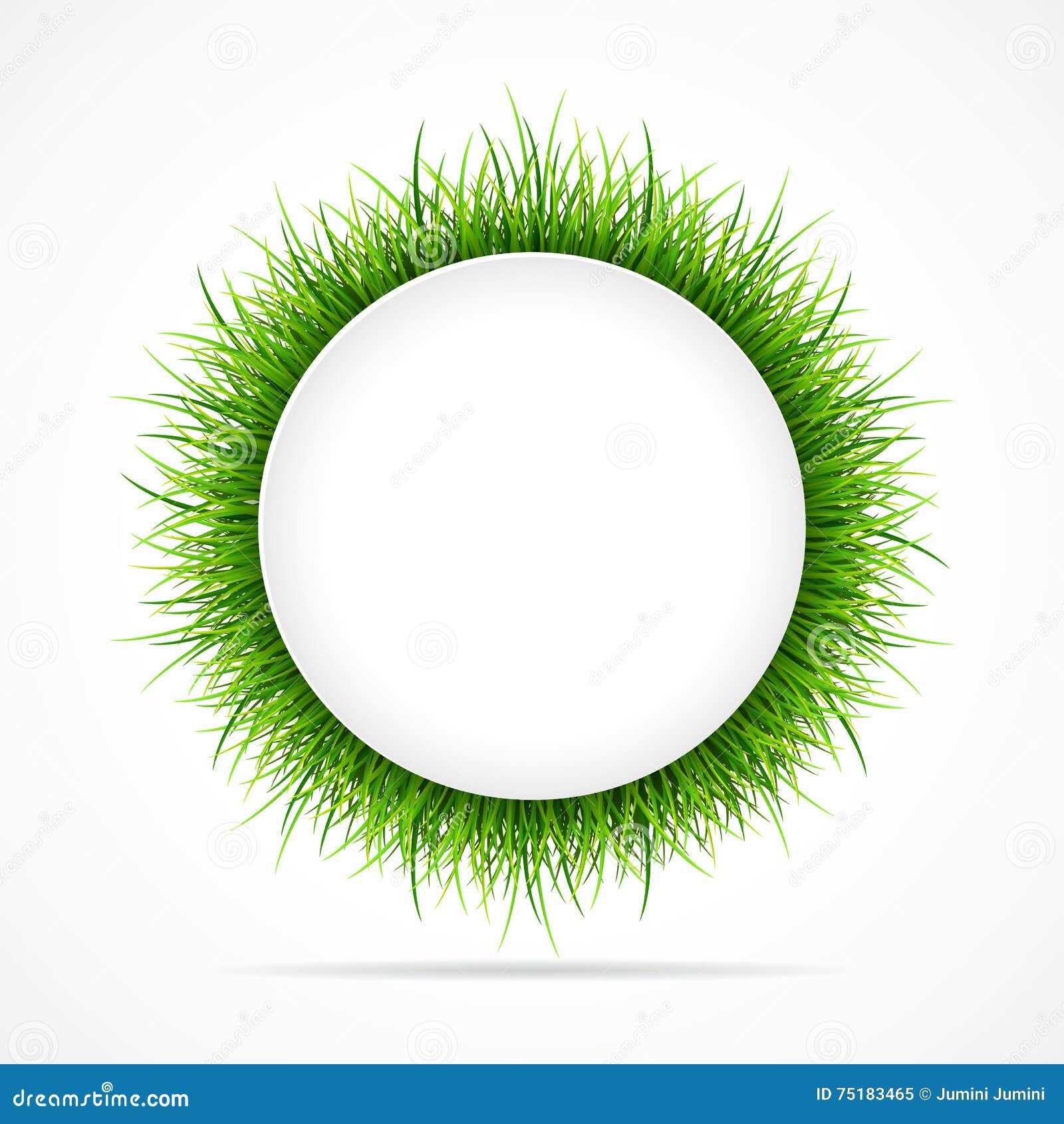 Round Frame with Green Grass Stock Vector - Illustration of grass ...