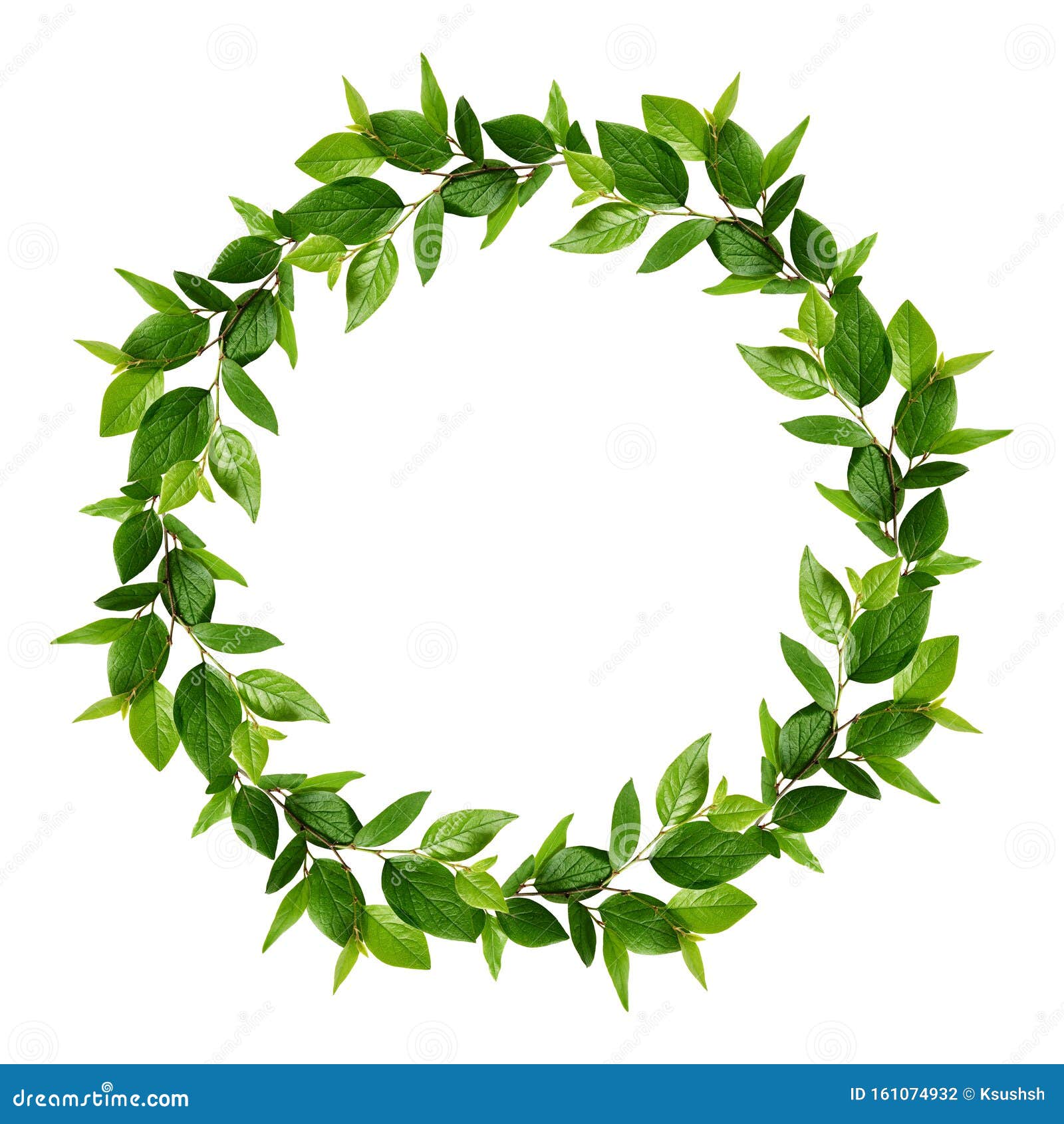 Round Frame with Green Leaves Stock Photo - Image of twig, collage ...