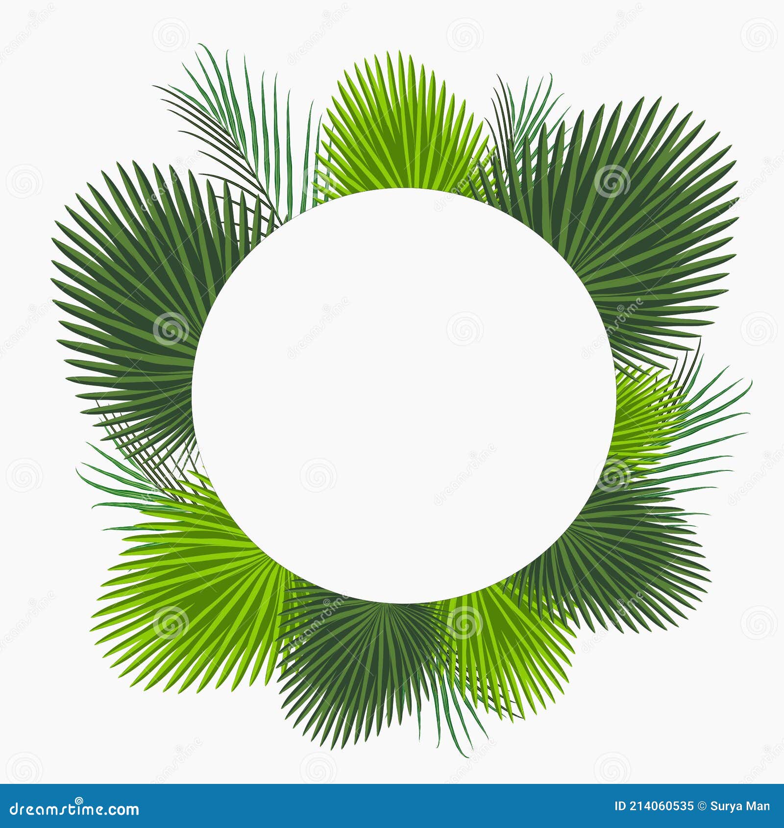 Round Frame with Palm Leaves Stock Vector - Illustration of invitation ...