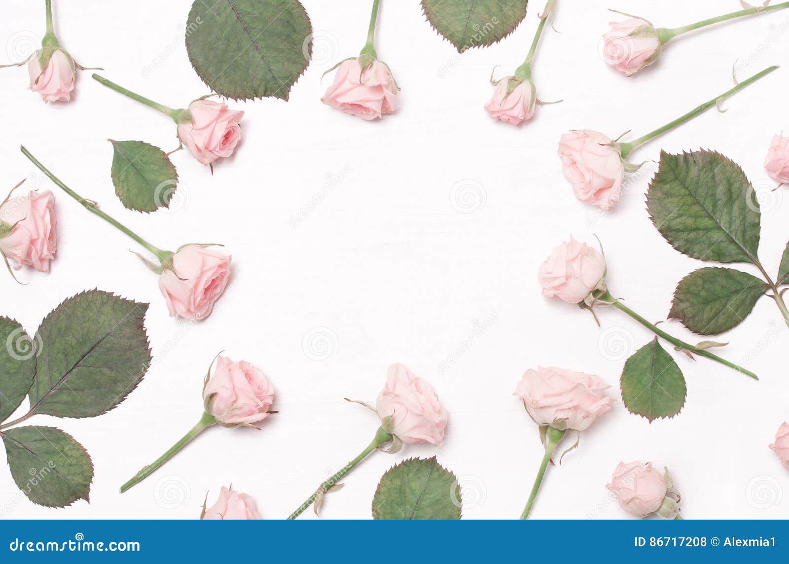 Round Frame of Pink Flowers on White Background Stock Photo - Image of ...