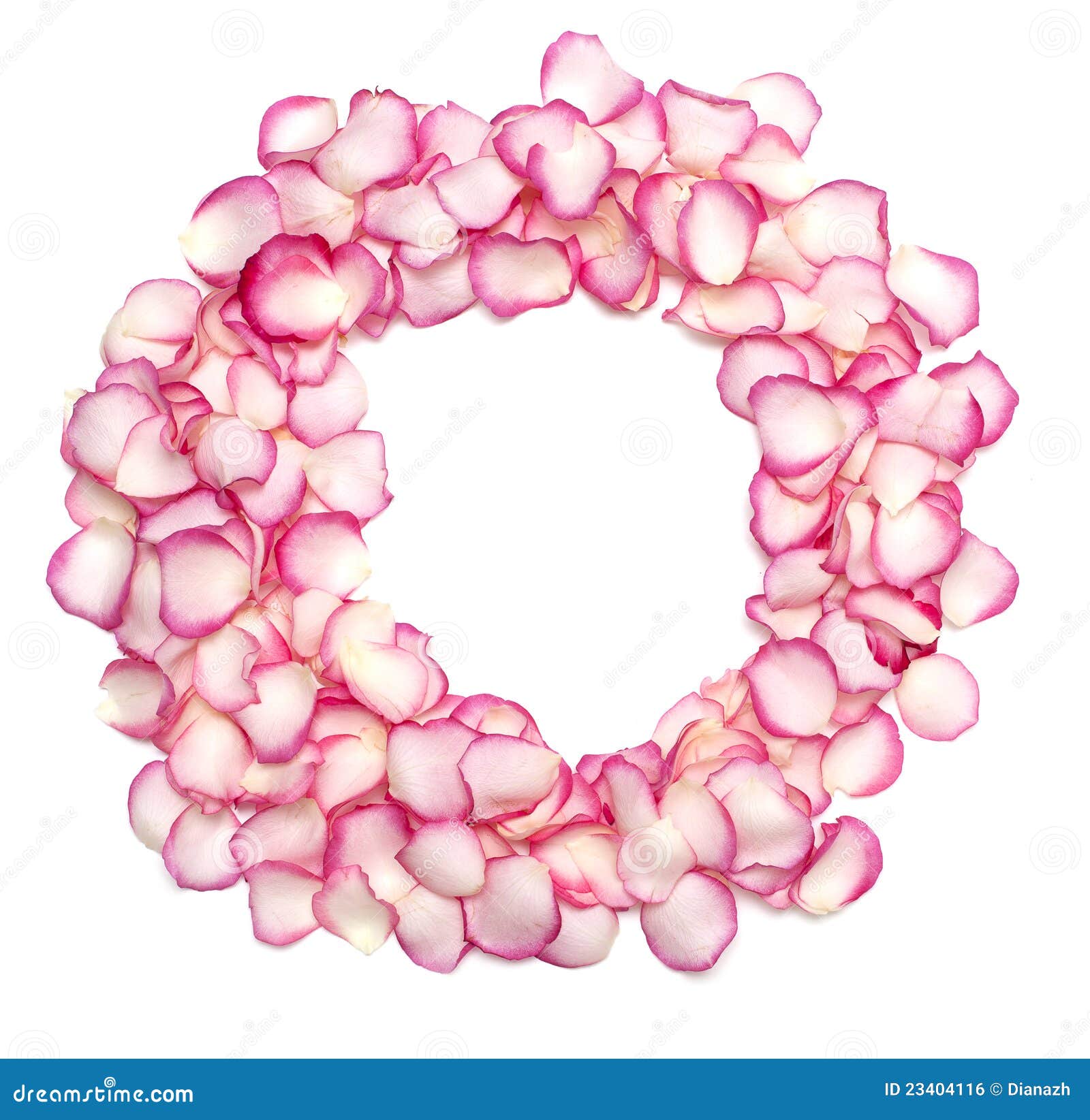 Round Frame of Pink Rose Petals Stock Photo - Image of isolated ...