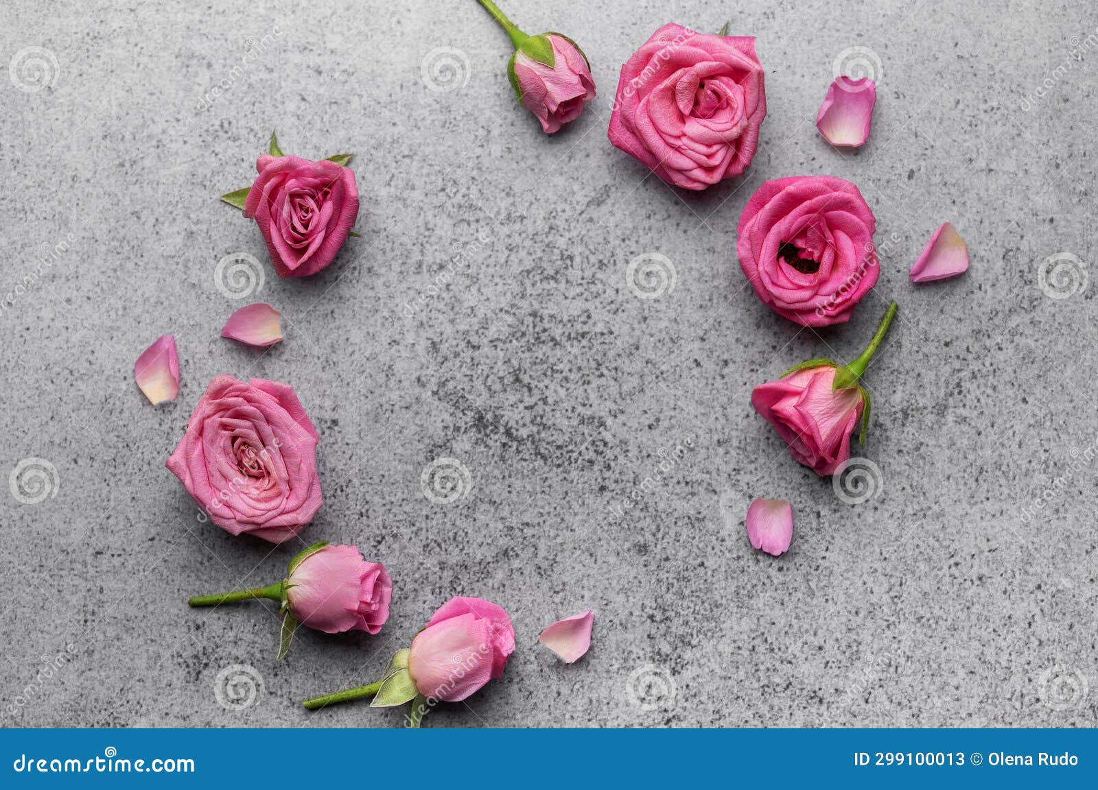 Round frame of pink roses stock image. Image of springtime - 299100013