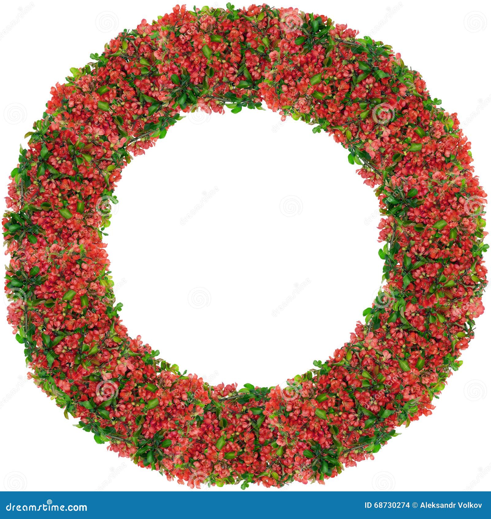 Round Frame from Red Spring Branches Stock Photo - Image of nature ...