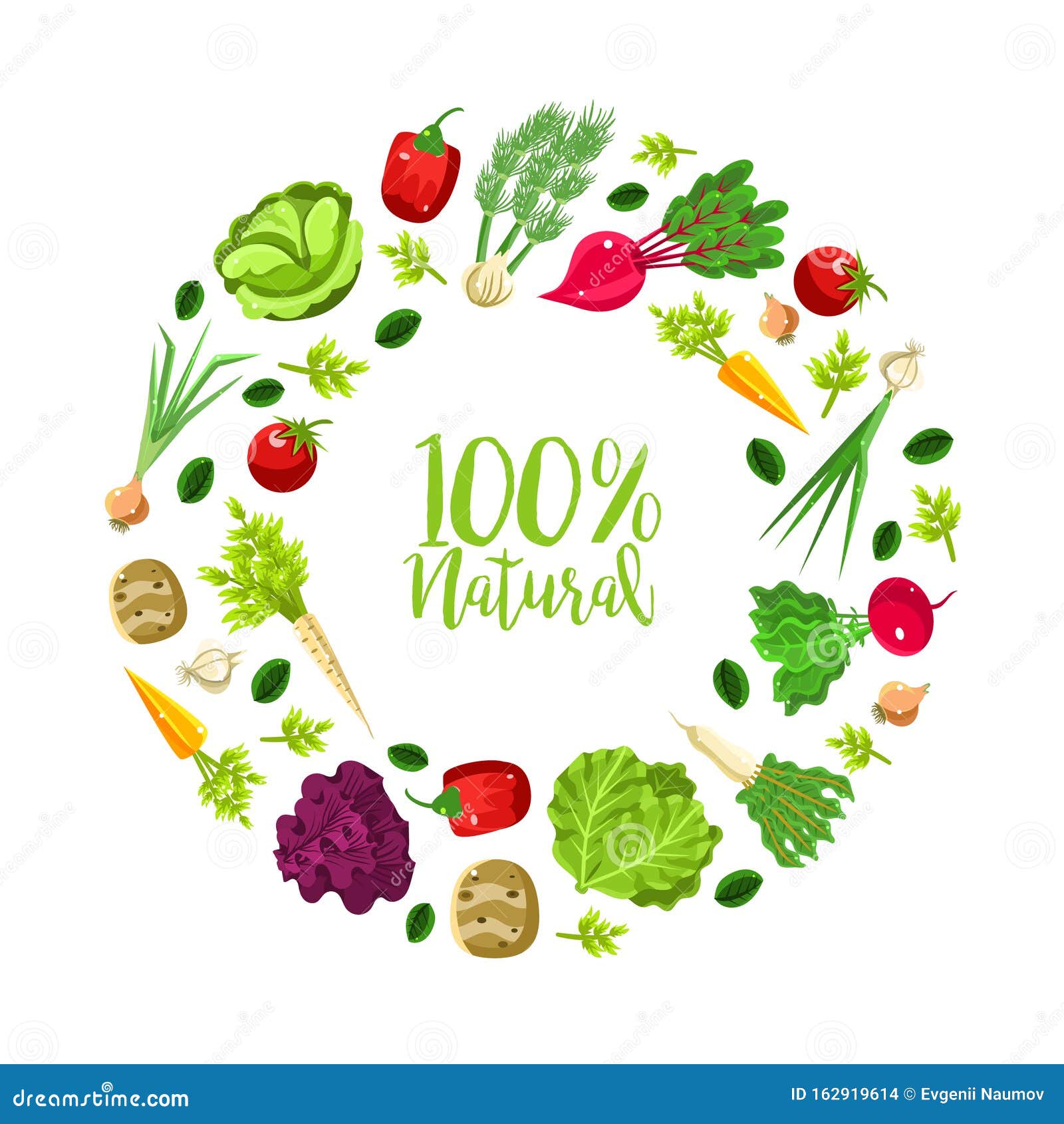 Round Frame of Root Vegetables and Greens. Vector Illustration on a ...