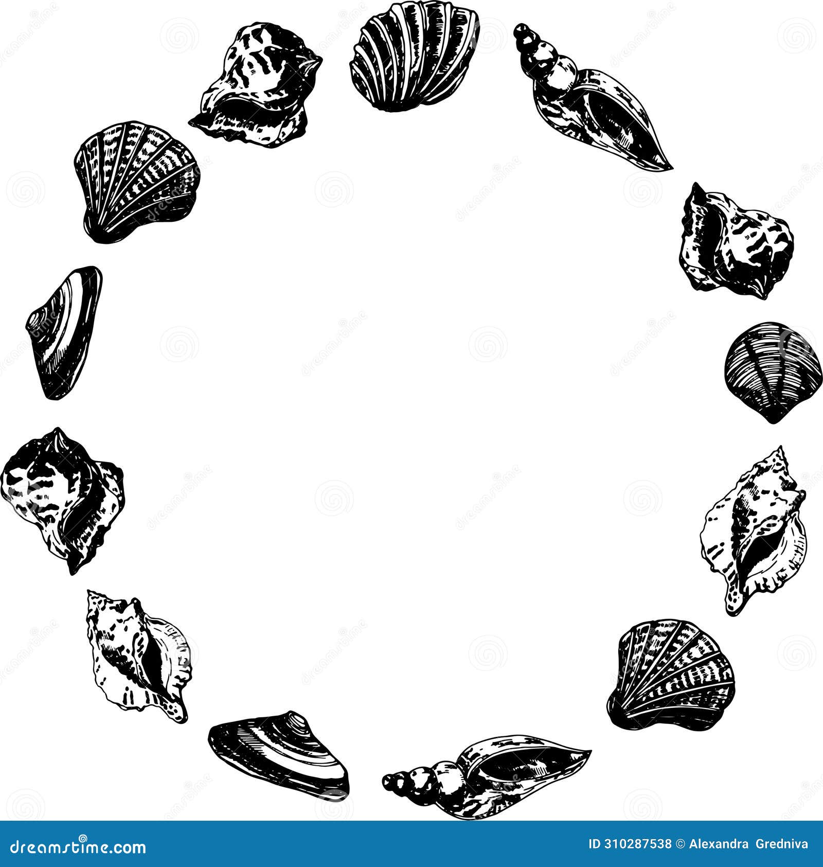 Round Frame with Shells Graphics Line Art. Marine Frame with Shells and ...