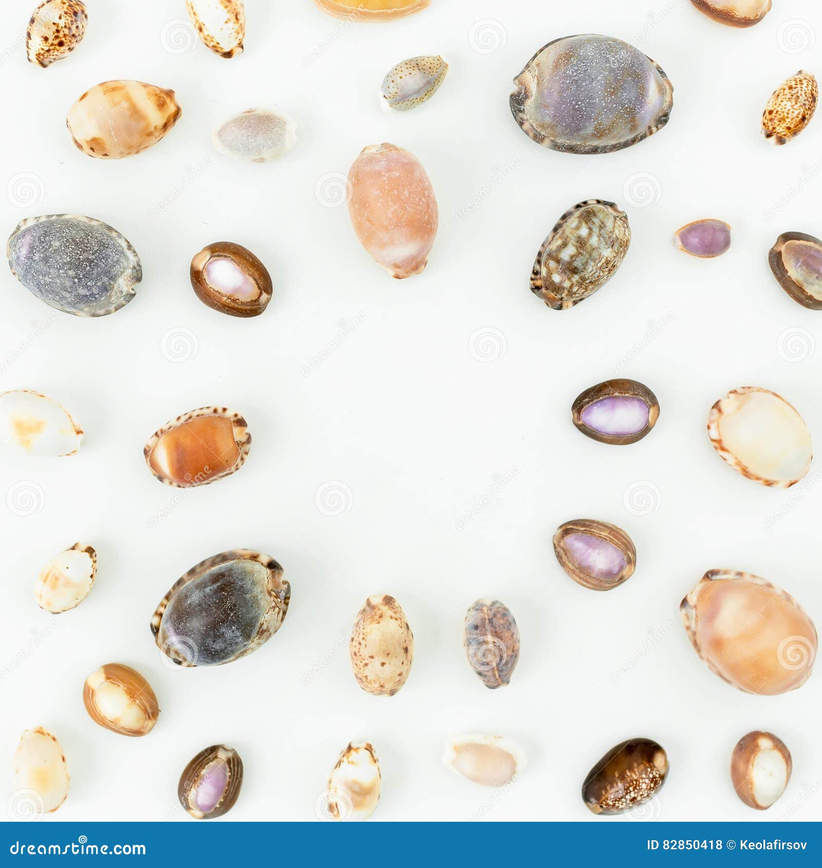 Round Frame Of Shells Isolated On White Background. Flat Lay. Top View ...