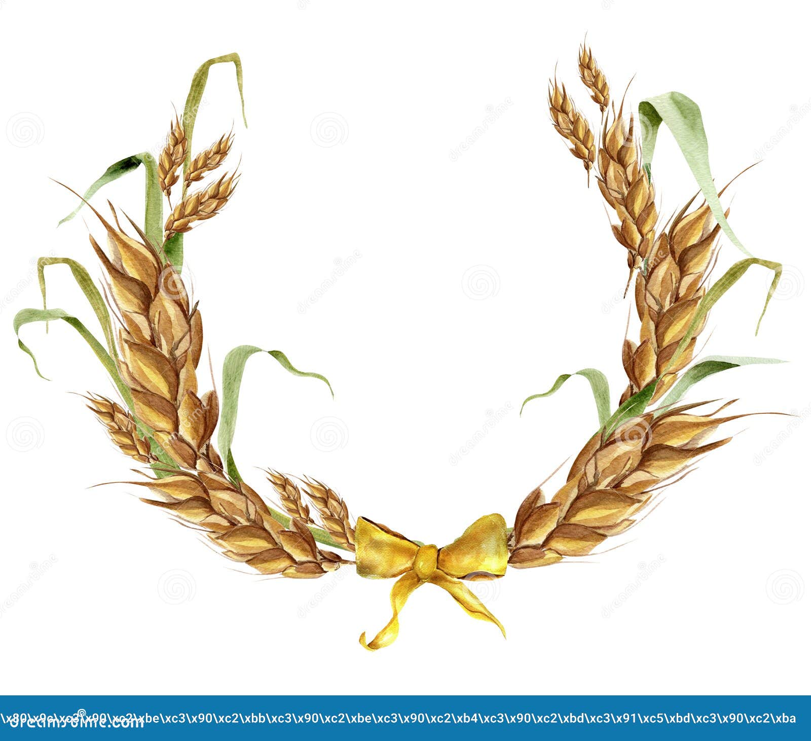 Round Frame Wheat Ears Watercolor Pattern Stock Illustration ...