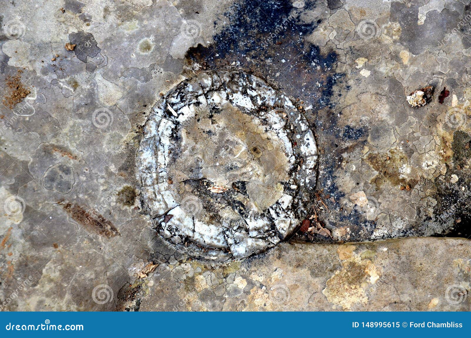 Round Geometric Geological Formation Stock Image - Image of geometric ...