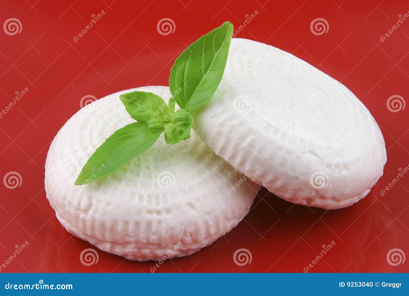 Round Goat Cheese and Basil Stock Photo - Image of healthy, light: 9253040