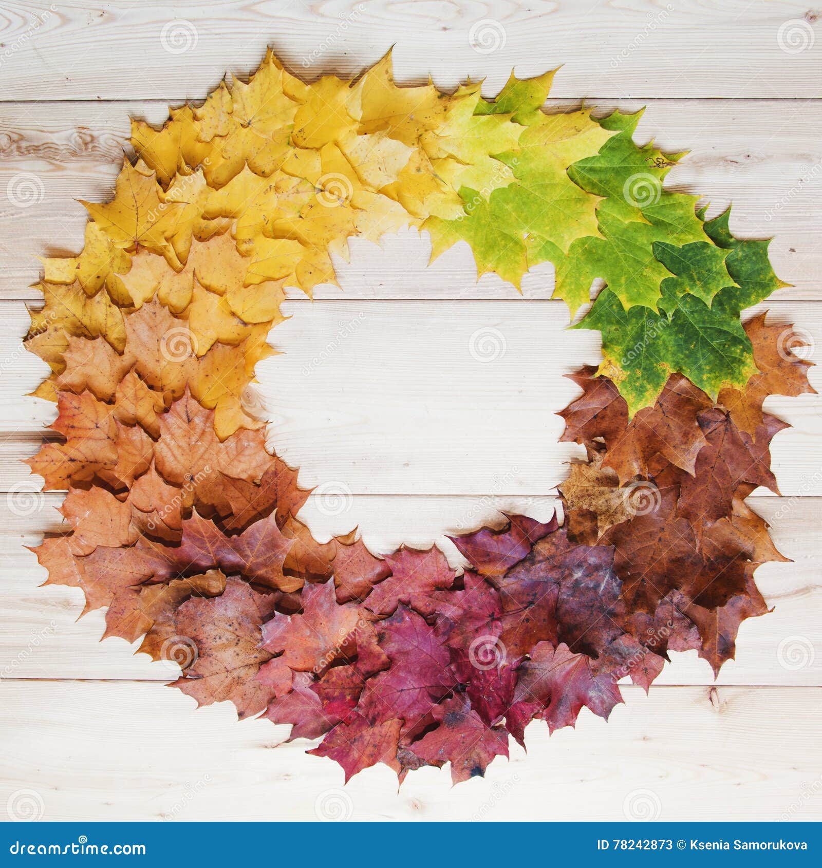 Round Gradient of Fall Maple Leaves. Autumn Round Frame Stock Image ...