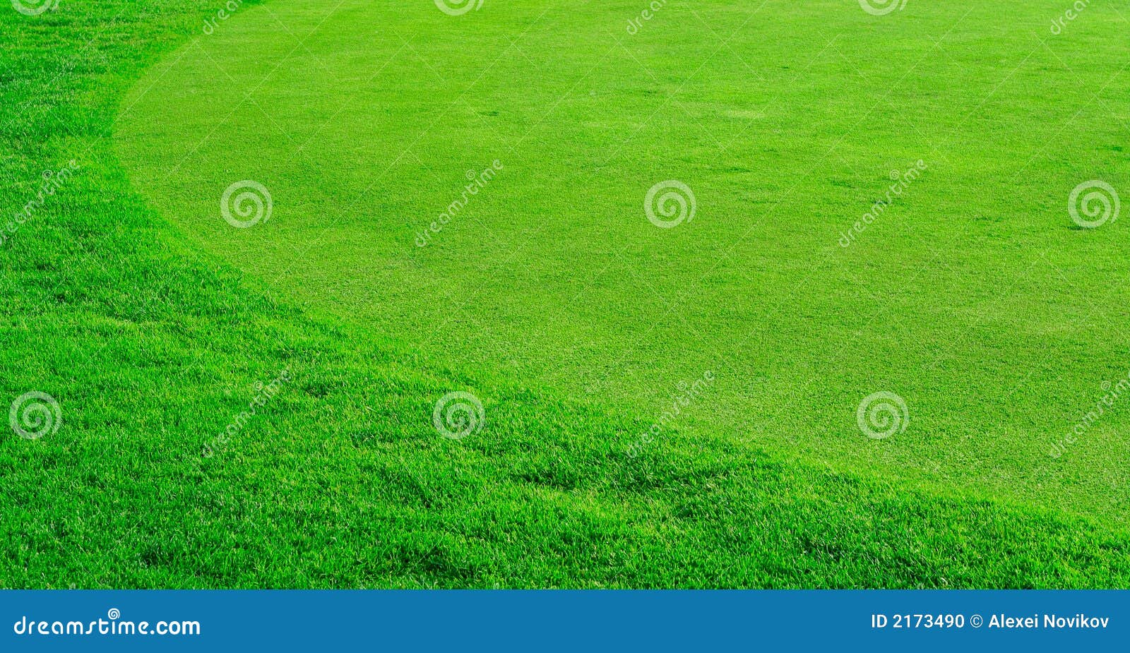 Round grass field stock photo. Image of football, park - 2173490