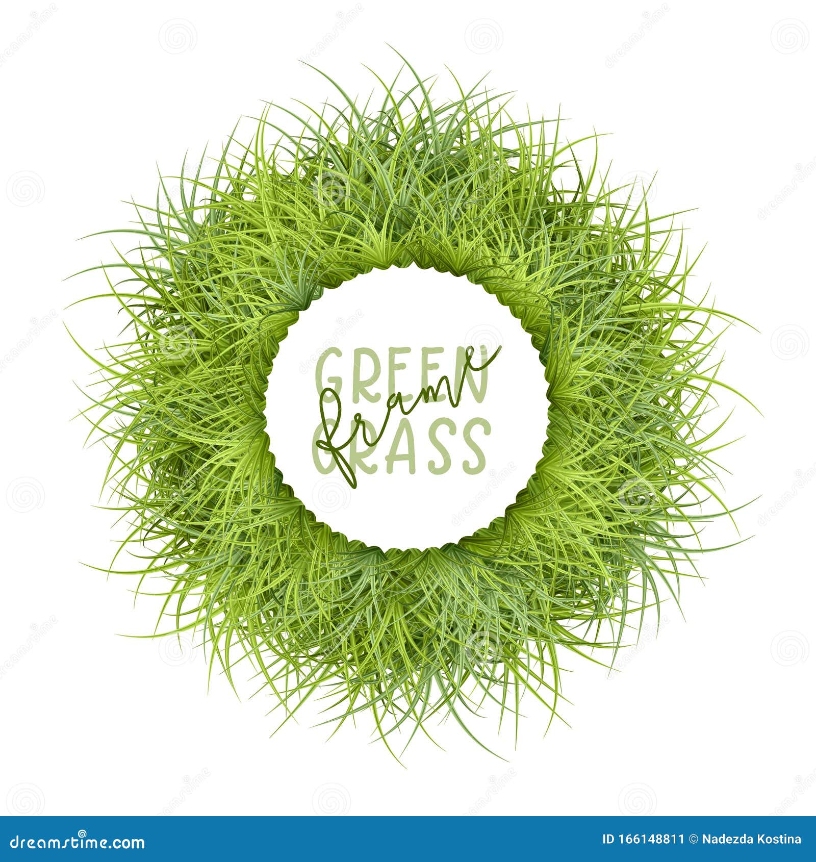 Round Grass Frame stock vector. Illustration of spring - 166148811