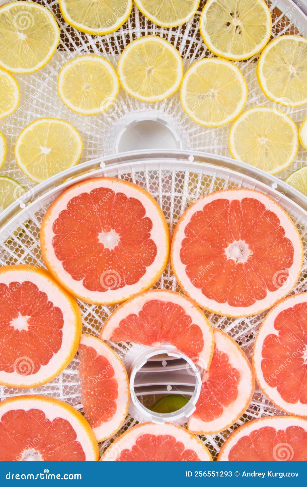 On the Round Grate of the Fruit and Vegetable Drying Machine, Fresh ...