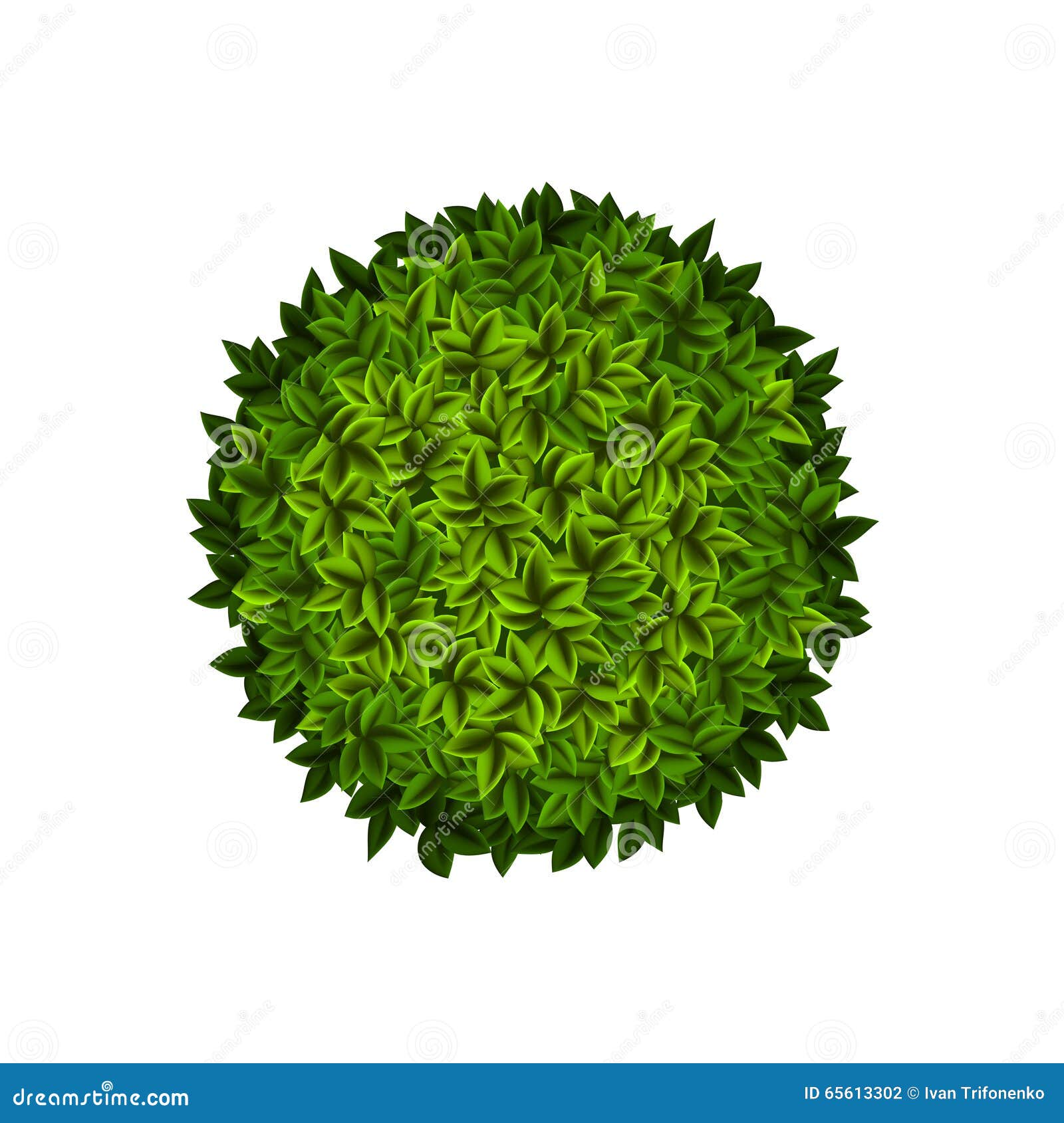 Round green bush stock vector. Illustration of hedges - 65613302