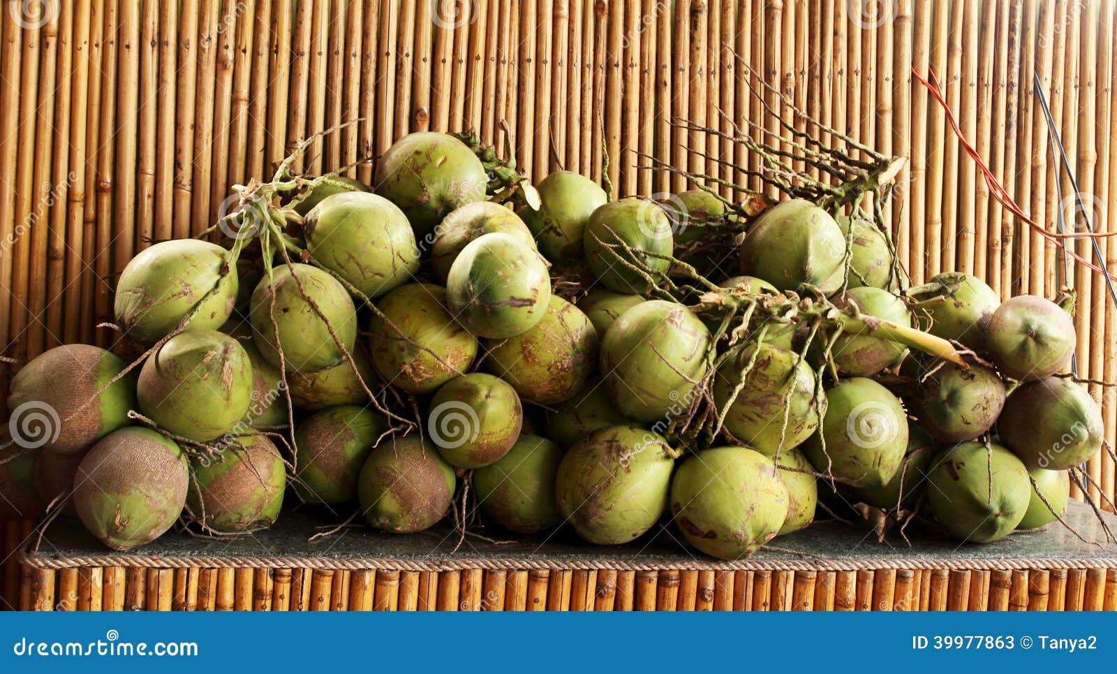 Round green coconuts stock image. Image of fruit, tasty - 39977863