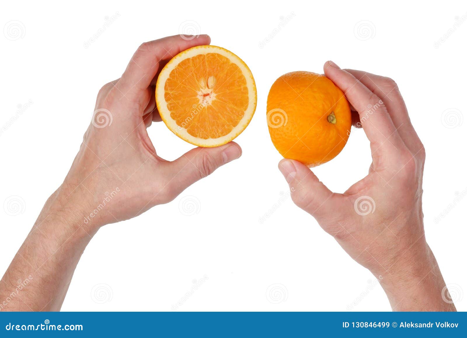 Round Halfs of Rip Orange Fruit in Hands of an Elderly Cook. is Stock ...