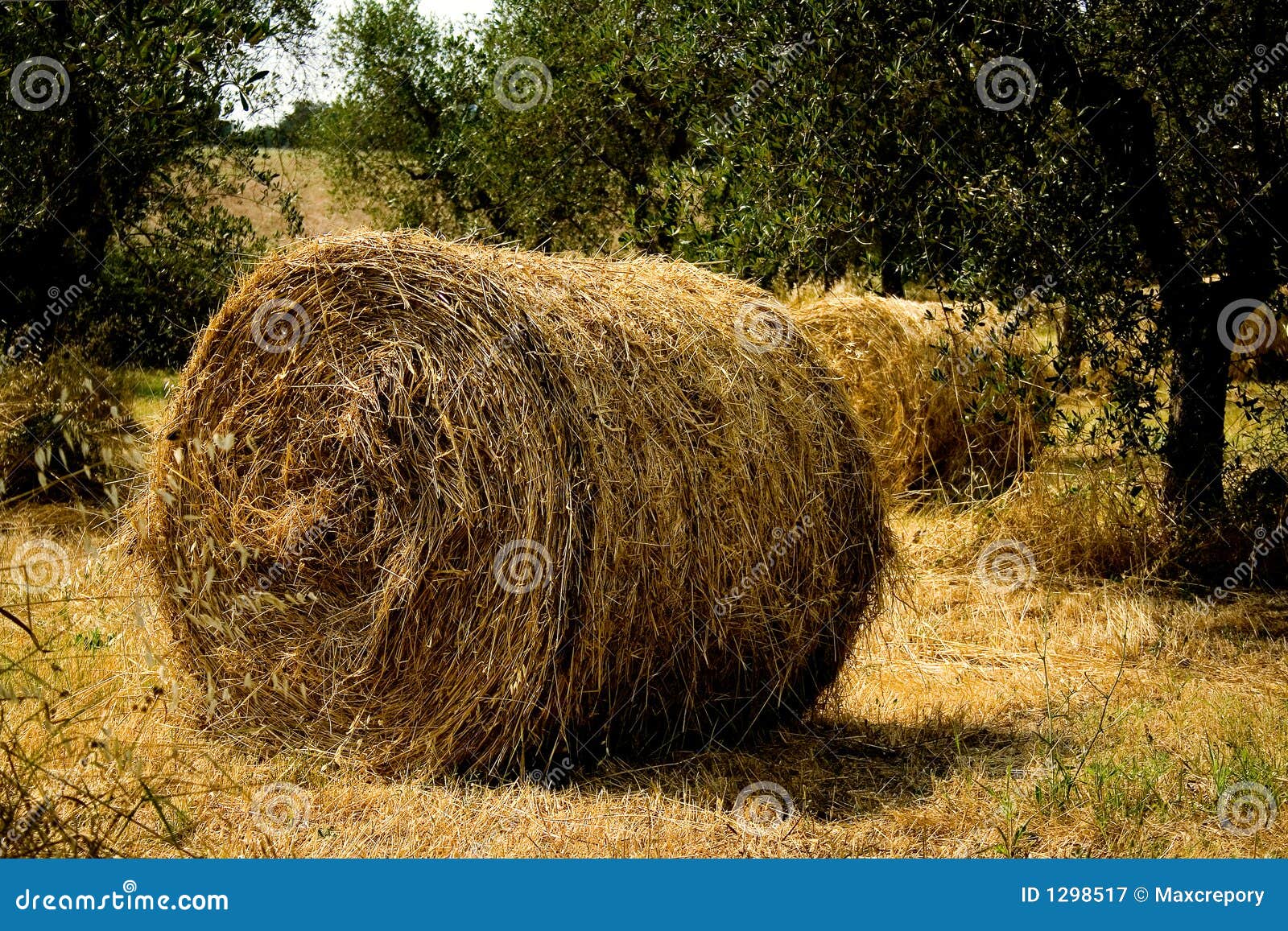 Round Hay Bails stock image. Image of straw, agriculture - 1298517