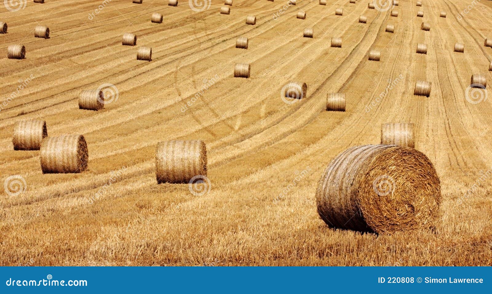 Round Hay Bails stock photo. Image of farming, breakfast - 220808