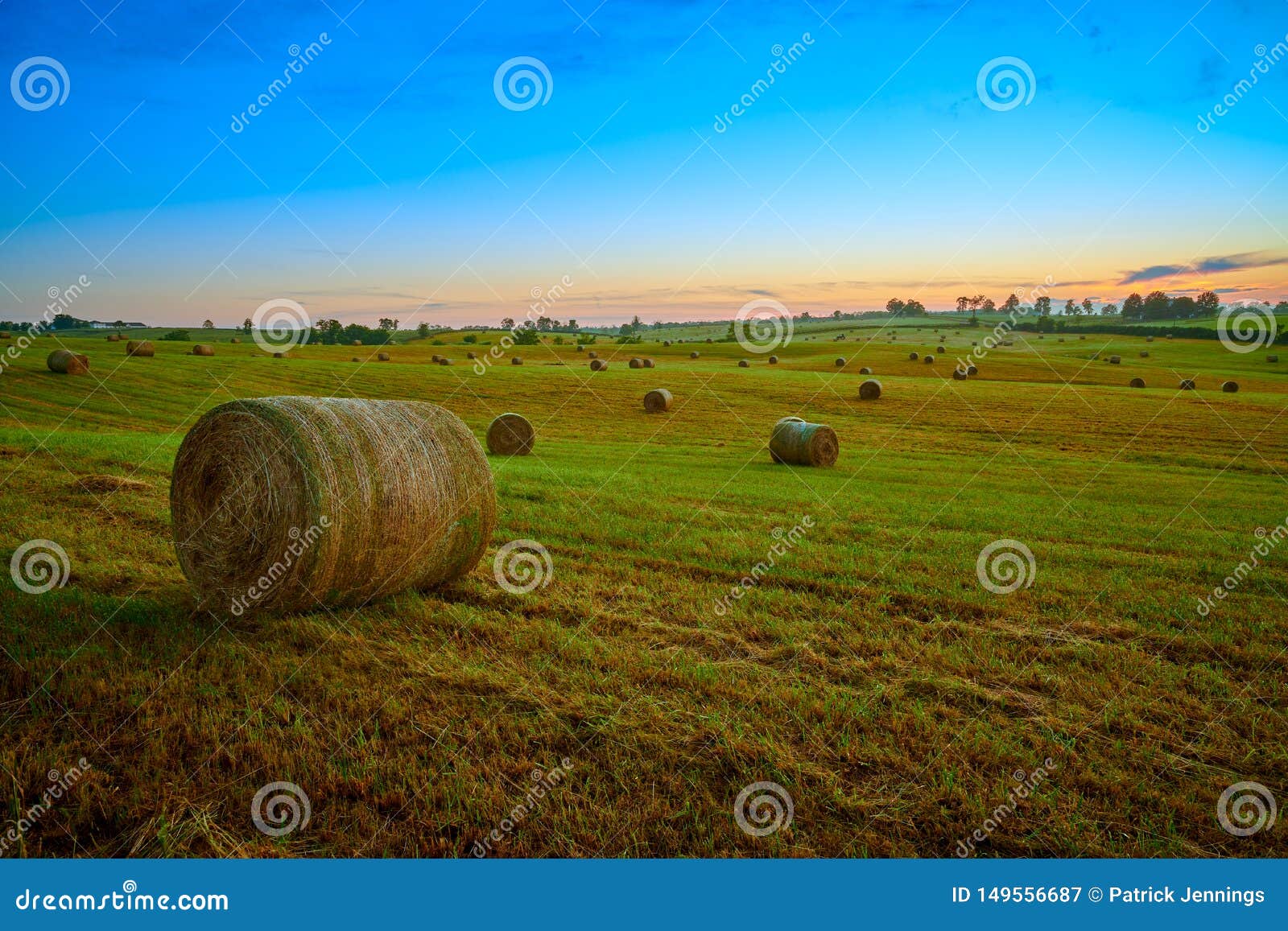 Round Hay Bails in a Field stock image. Image of bale - 149556687